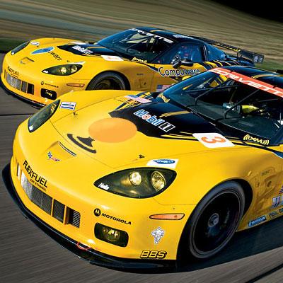 Complete the Palindrome Quiz